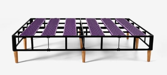 PURPLE FOUNDATION | Morris